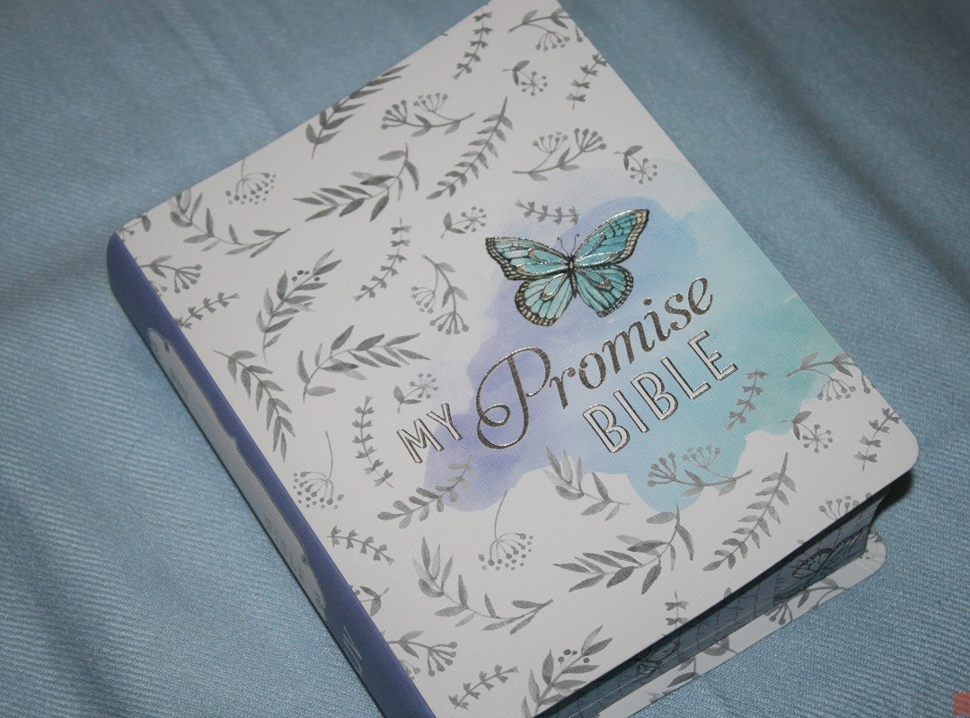 KJV My Promise Bible Review - Bible Buying Guide