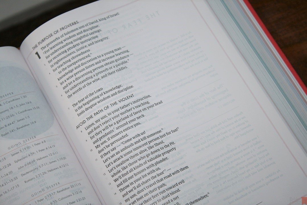 She Reads Truth Bible Review - Bible Buying Guide