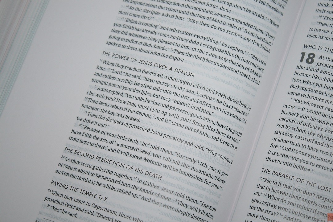 She Reads Truth Bible Review - Bible Buying Guide