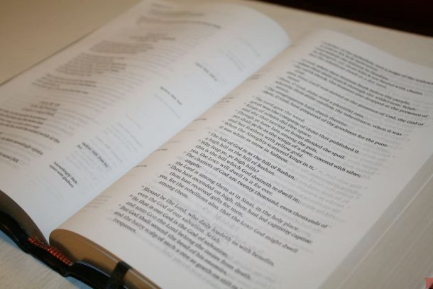 New Cambridge Paragraph Bible Personal Size Calfskin Review - Bible ...