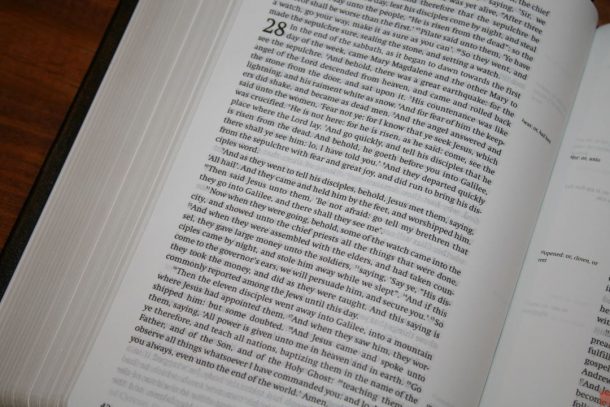 New Cambridge Paragraph Bible Personal Size Calfskin Review - Bible ...