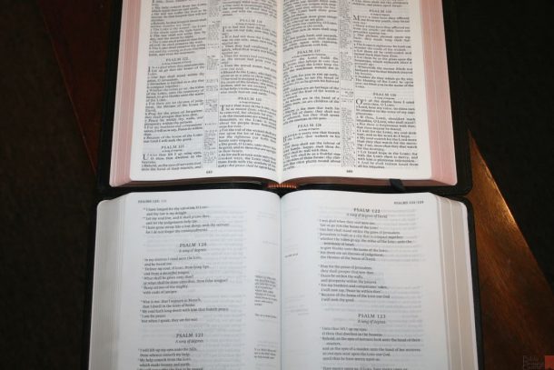 New Cambridge Paragraph Bible Personal Size Calfskin Review - Bible ...