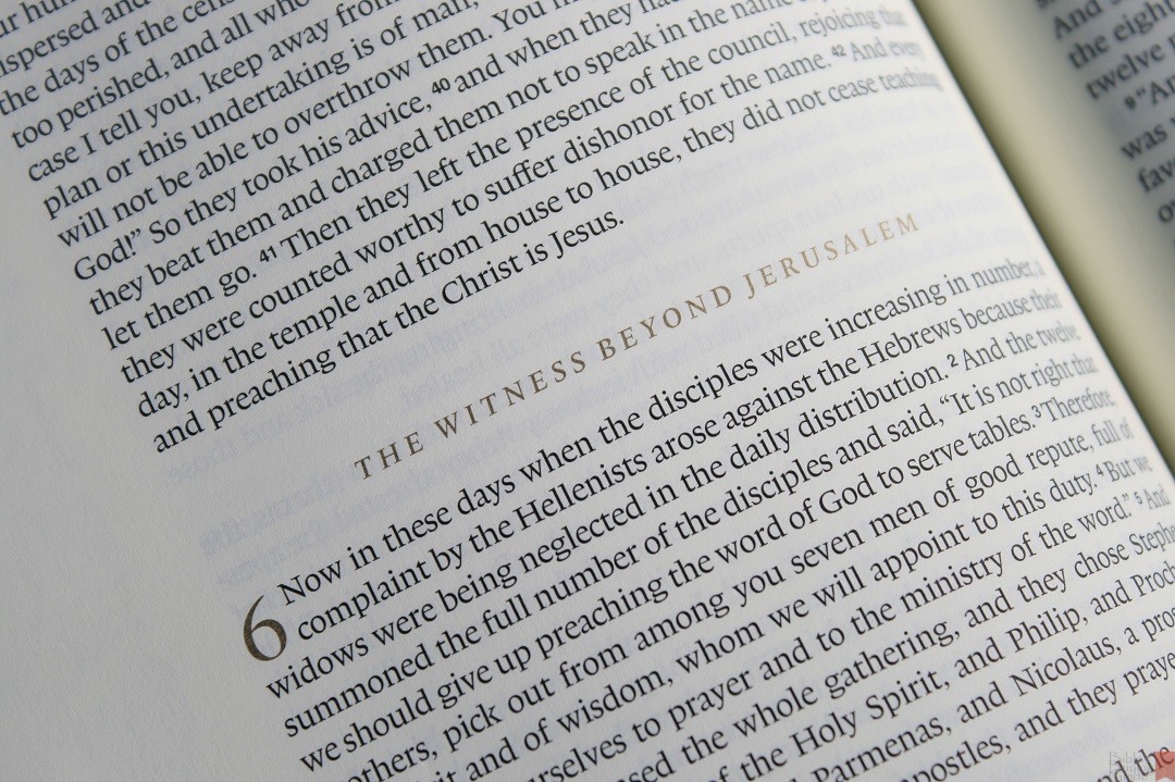 ESV Illuminated Bible (6) - Bible Buying Guide