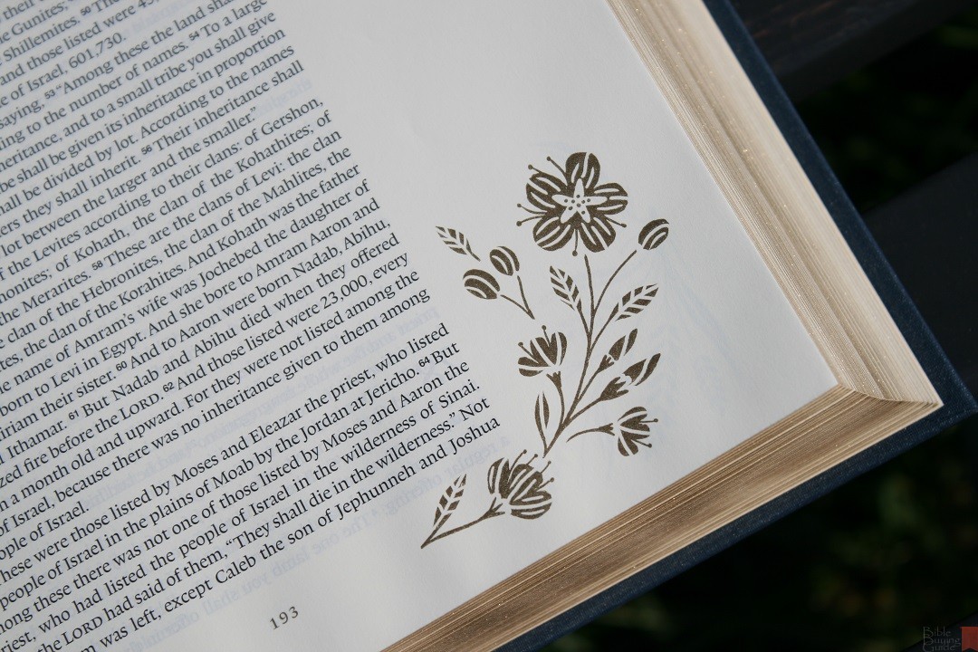 ESV Illuminated Bible (8) - Bible Buying Guide