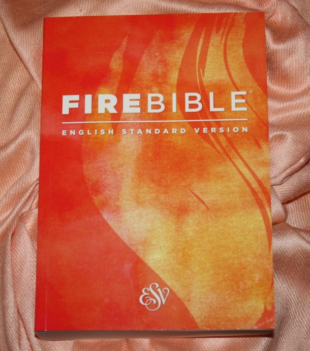 ESV Fire Bible - Bible Buying Guide