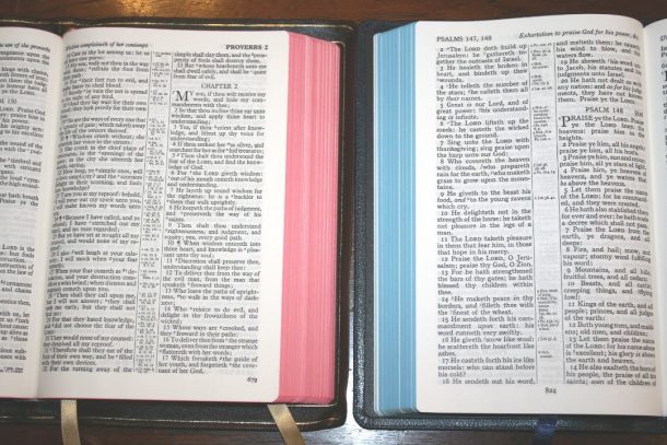 Cambridge Turquoise Review - Bible Buying Guide