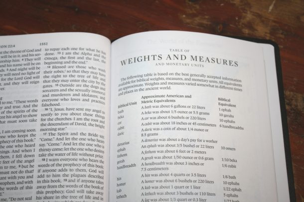 ESV Large Print Wide Margin Bible Review - Bible Buying Guide