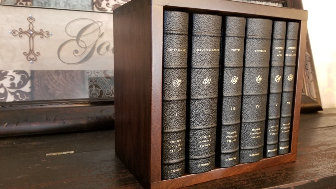 Crossway’s ESV Reader’s Bible, Six-Volume Set in Cowhide (8) - Bible ...