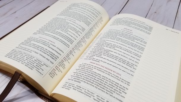 KJV Journal the Word Reference Bible Review - Bible Buying Guide