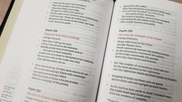 NKJV Compact Single Column Reference Bible - Bible Buying Guide