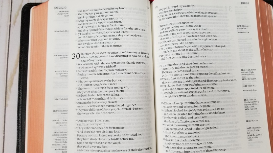 Cambridge KJV Clarion (17) - Bible Buying Guide