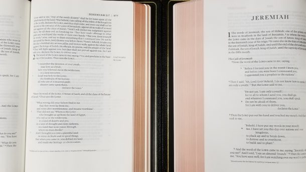 ESV Preaching Bible - Bible Buying Guide