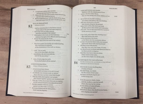 ESV Prayer Bible Review - Bible Buying Guide