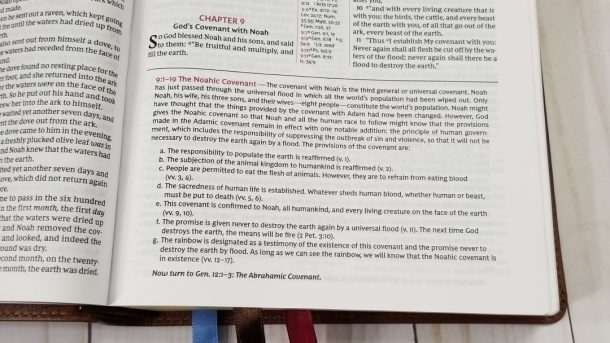 The Open Bible NKJV - Review - Bible Buying Guide