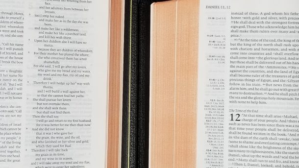 Crossway ESV Heirloom Thinline Bible Review - Bible Buying Guide