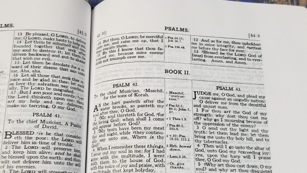 The KJV Store Classic Wide Margin Study Bible (With C.I. Scofield Notes ...