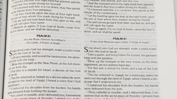 KJV/MEV Parallel Bible Review - Bible Buying Guide