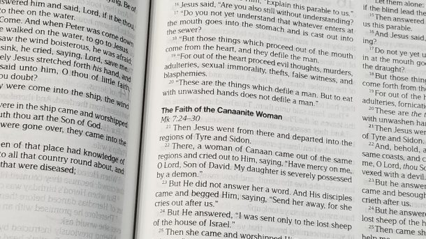 KJV/MEV Parallel Bible Review - Bible Buying Guide