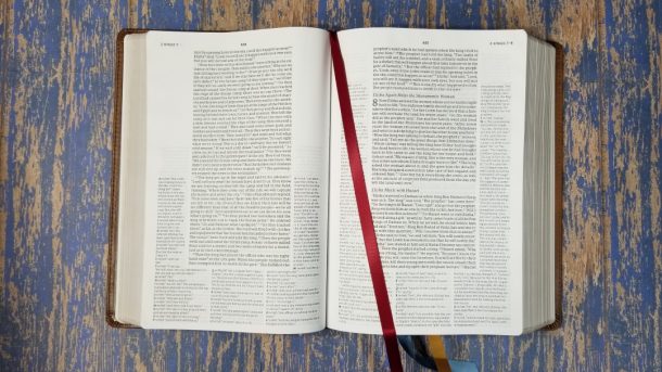 Thomas Nelson NET Bible Full Notes Edition - Bible Buying Guide
