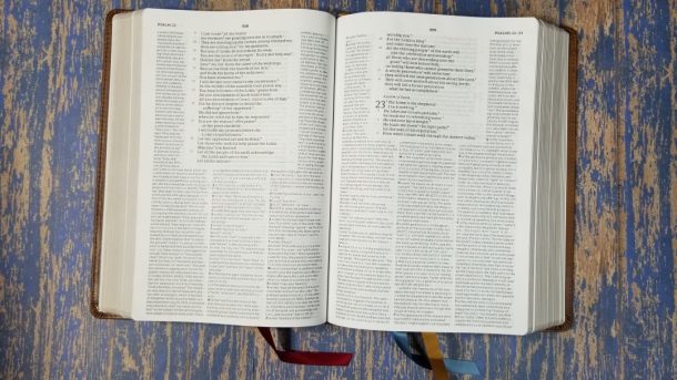Thomas Nelson NET Bible Full Notes Edition - Bible Buying Guide