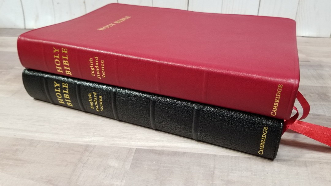 Cambridge ESV Topaz (4) - Bible Buying Guide