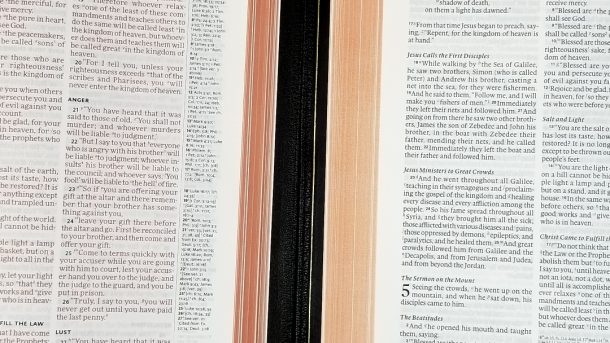Cambridge ESV Topaz Bible Review - Bible Buying Guide