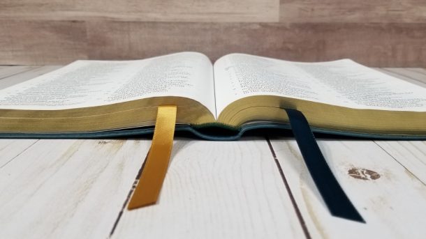 NET Bible Large Print Thinline Review - Bible Buying Guide