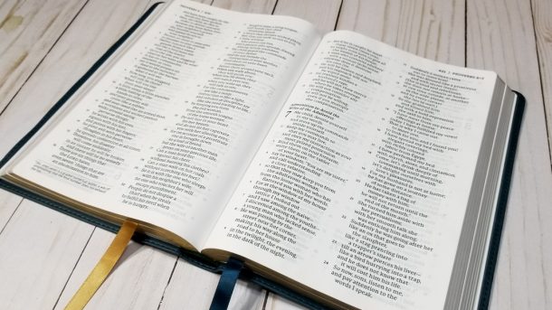 NET Bible Large Print Thinline Review - Bible Buying Guide