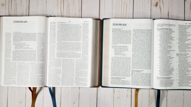 NET Bible Large Print Thinline Review - Bible Buying Guide
