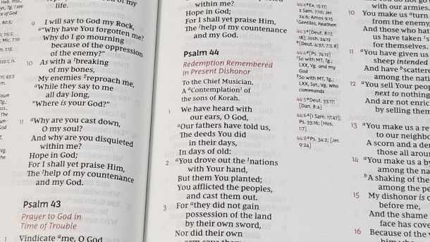 NKJV Classic Verse-by-Verse Center-Column Comfort Print Reference Bible ...