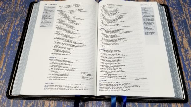 NIV Deluxe Single-Column Reference Bible Premier Collection Review ...
