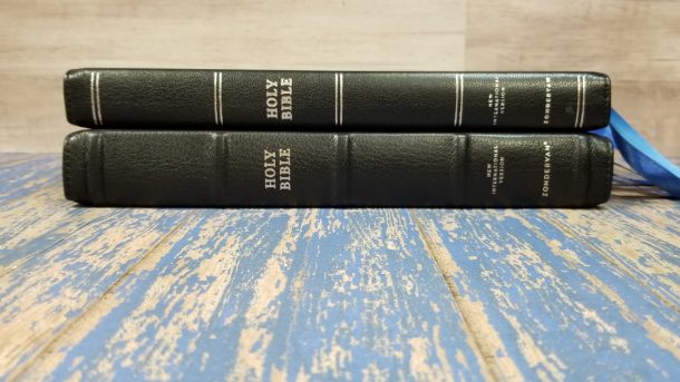 NIV Deluxe Single-Column Reference Bible Premier Collection Review ...