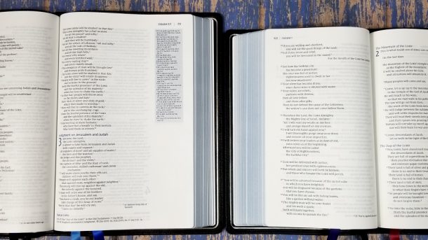 NIV Deluxe Single-Column Reference Bible Premier Collection Review ...