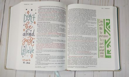 NIV Beautiful Word Bible Updated Edition Review - Bible Buying Guide