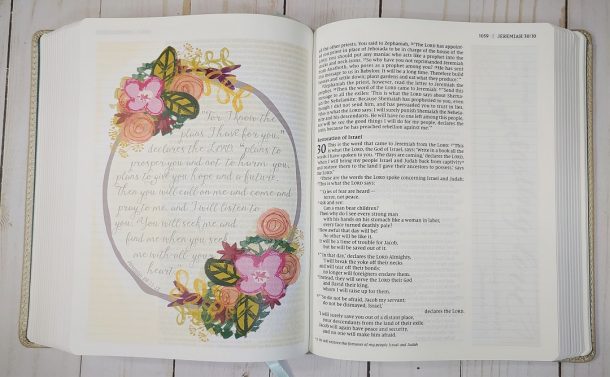 NIV Beautiful Word Bible Updated Edition Review - Bible Buying Guide
