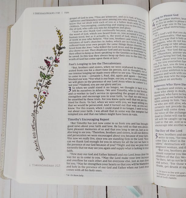 NIV Beautiful Word Bible Updated Edition Review - Bible Buying Guide