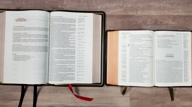 NASB Single-Column Reference Bible (Premier Collection) Review - Bible ...