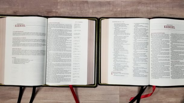 NASB Single-Column Reference Bible (Premier Collection) Review - Bible ...