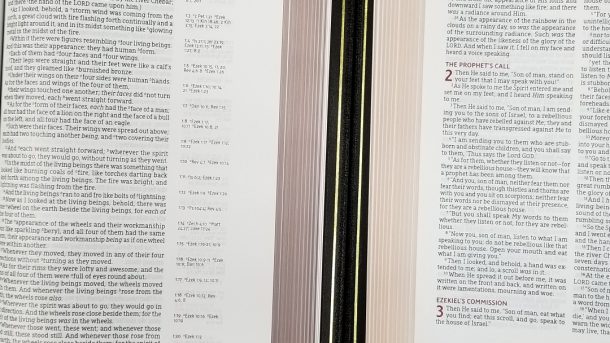 NASB Single-Column Reference Bible (Premier Collection) Review - Bible ...