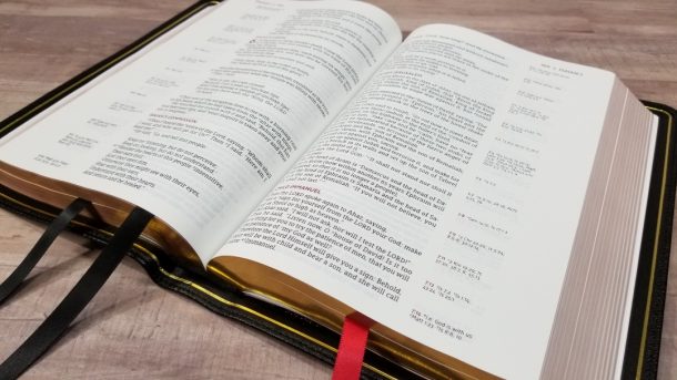 NASB Single-Column Reference Bible (Premier Collection) Review - Bible ...