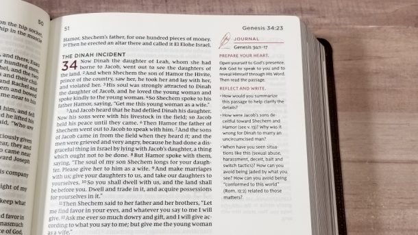 NKJV Abide Bible Review - Bible Buying Guide