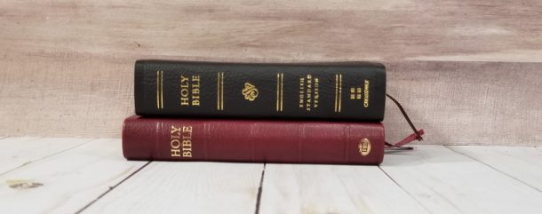 ESV Pocket Bible Review - Bible Buying Guide