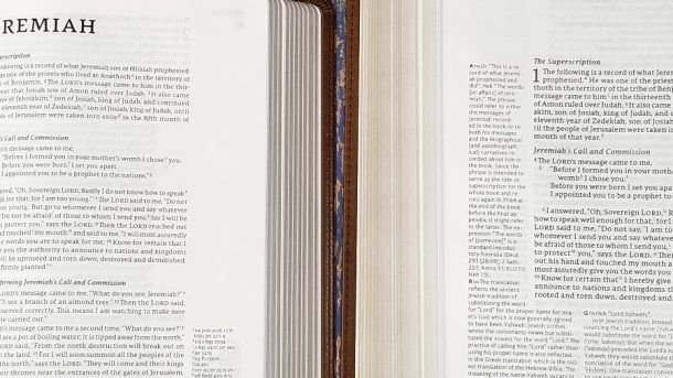 NET Bible Single Column Reference Edition Review - Bible Buying Guide