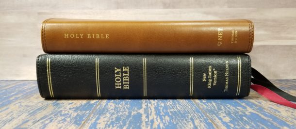 NET Bible Single Column Reference Edition Review - Bible Buying Guide