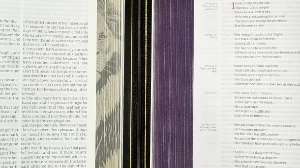 Humble Lamb KJV Lion Bible Review - Bible Buying Guide