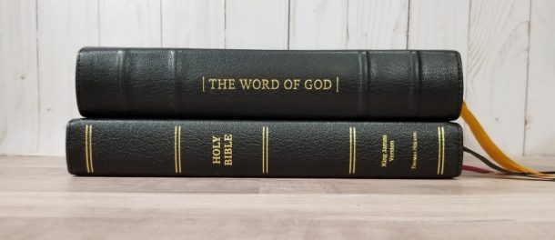 Humble Lamb KJV Lion Bible Review - Bible Buying Guide