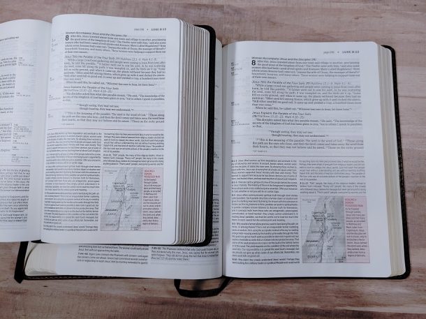 Personal Size NIV Life Application Study Bible - Bible Buying Guide