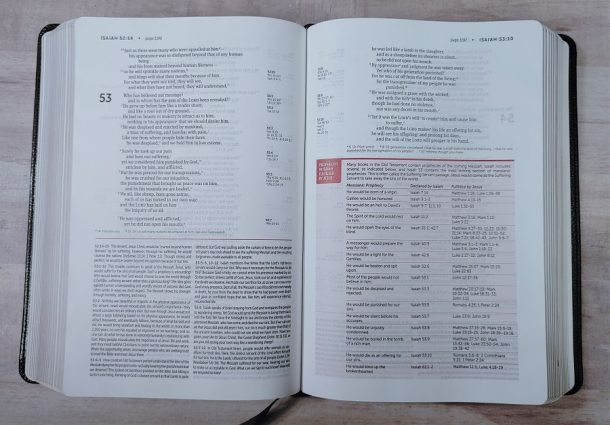 Personal Size NIV Life Application Study Bible - Bible Buying Guide