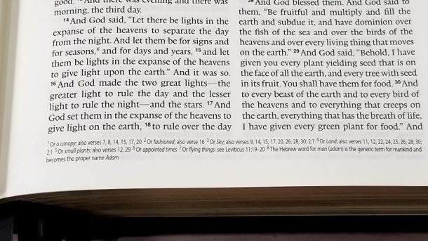 ESV Pulpit Bible Review - Bible Buying Guide