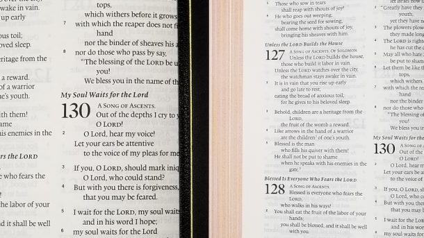 ESV Pulpit Bible Review - Bible Buying Guide